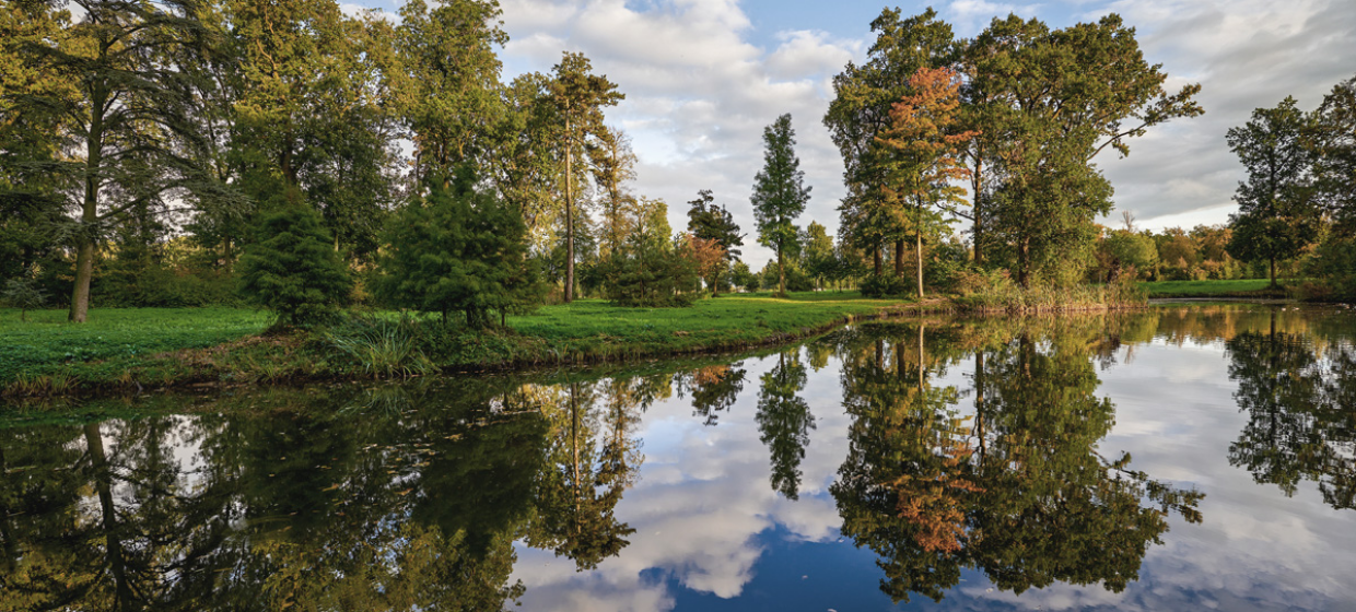 FerroSorp® GW - Zeolith Umwelttechnik GmbH - Phosphat-Elimination